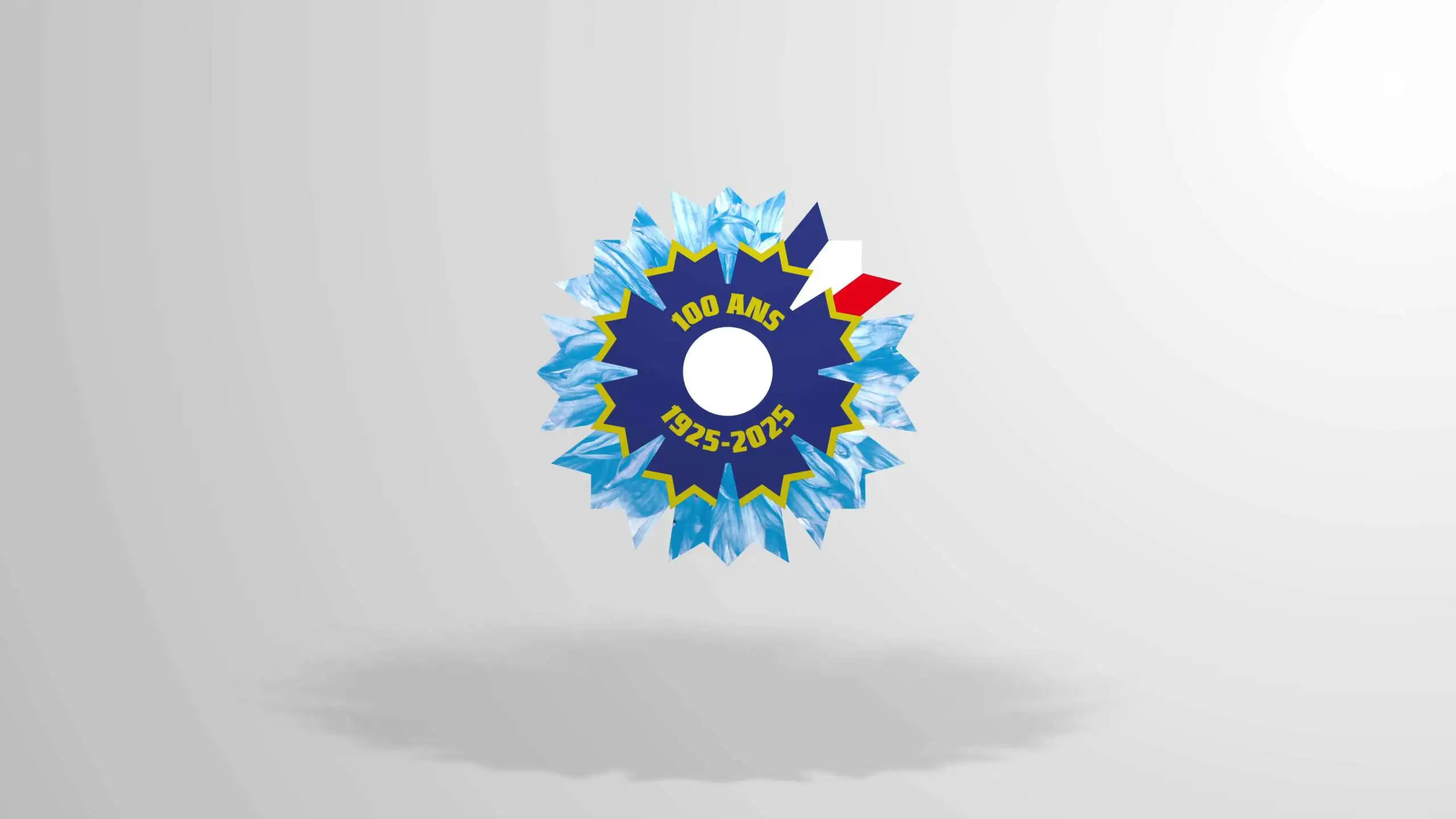 Le Groupe CMP, revendeur officiel du Bleuet de France | Soutenez la ...